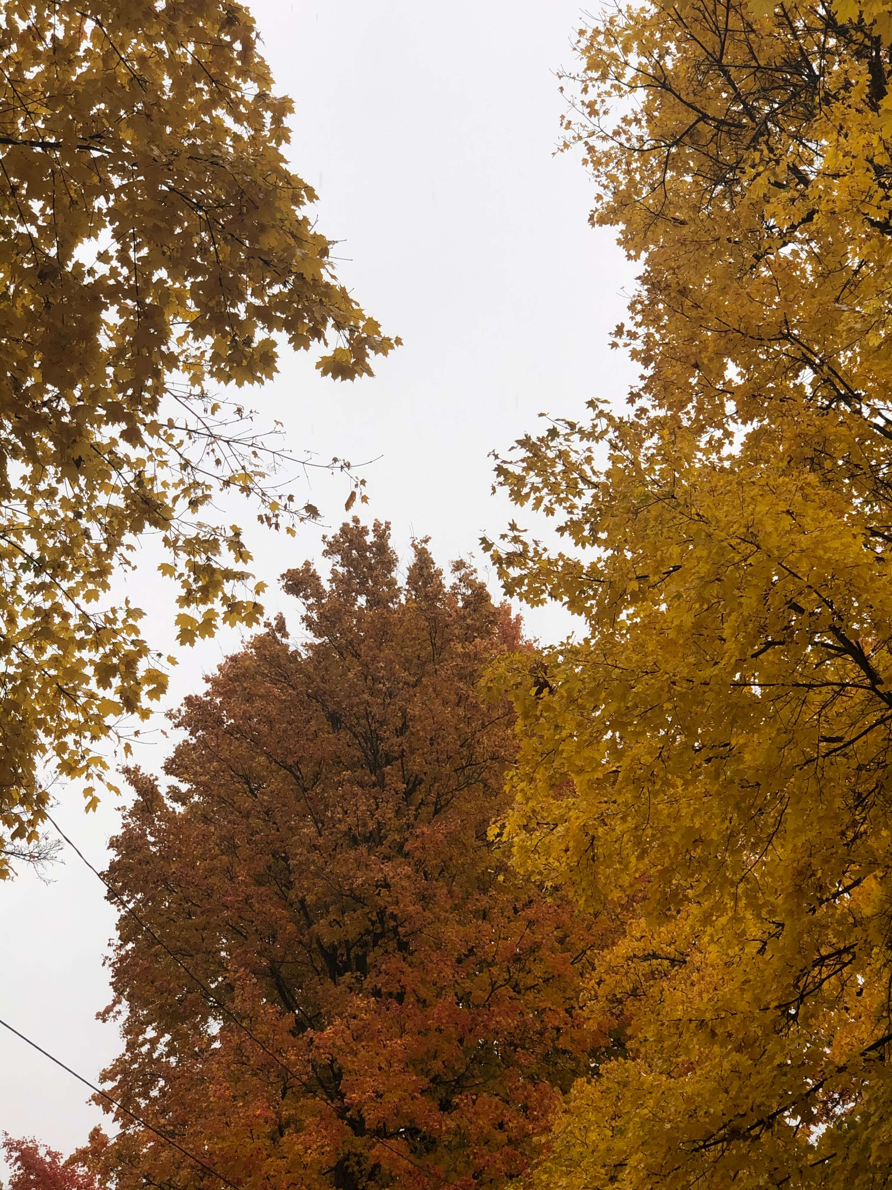 It’s Candle Season for a Reason! Here’s Why We Love Fall Candle Scents ...